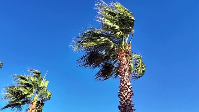 Внезапная Анталия. Ч.1. Занудная.