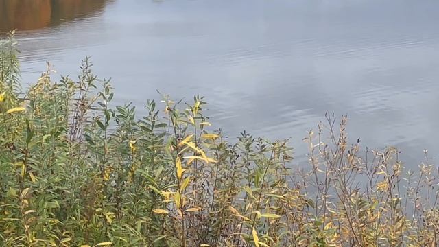 Середина октября 🍁 Температура воды 7,7 градусов - бодрит 👍 Все купаться🏊♂️🏊♂️🏊♂️