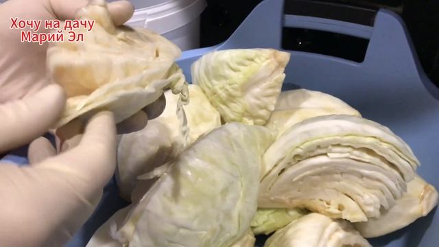 КИМЧИ из белокочанной капусты.