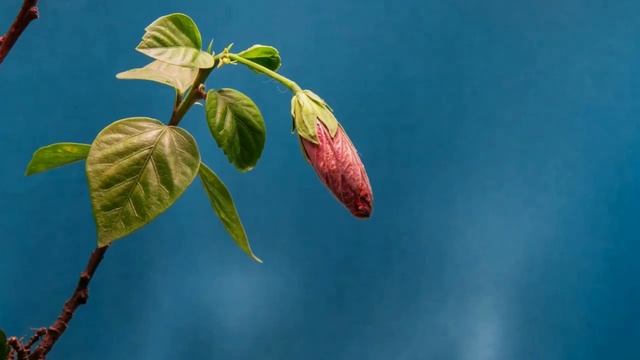 Flowing Energy - Beautiful Relaxing Epic Music