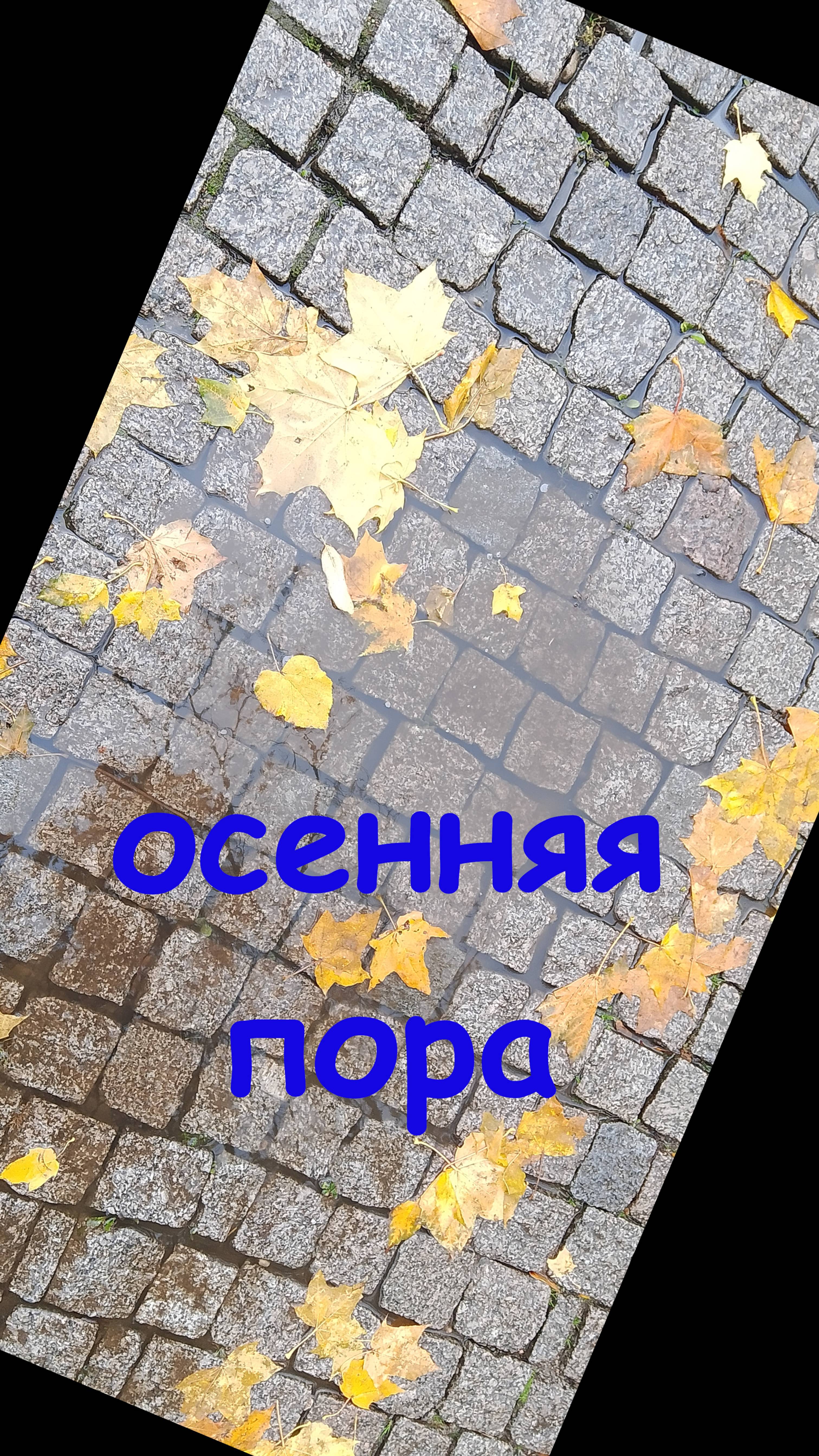 Осенняя пора. Стихи. Сергей Казакевич