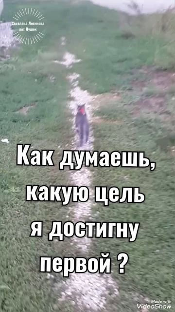 Как ты думаешь какую цель я достигну первой?