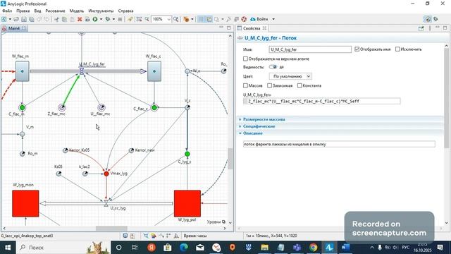 школьный проект по мат моделированию гриба 6. основное