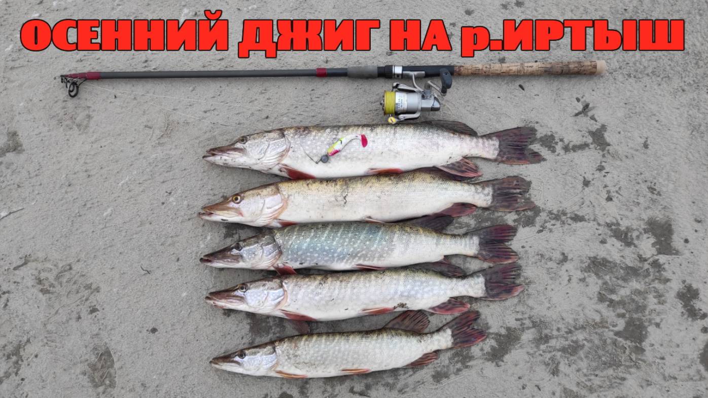 Ловля щуки на джиг осенью.