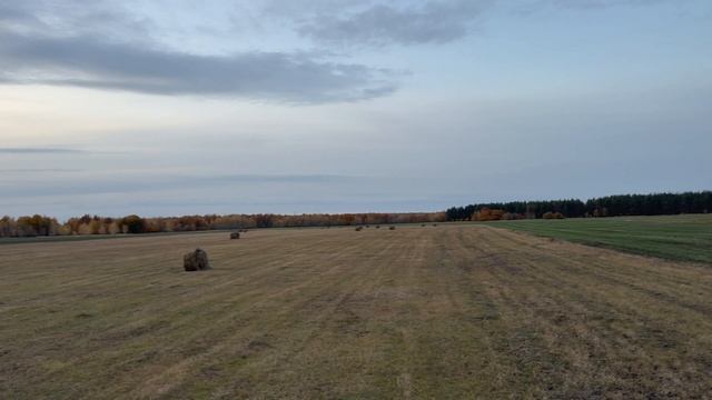 Охота на косулю для друзей | Выстрелы в кадре | Охота в Самарской области