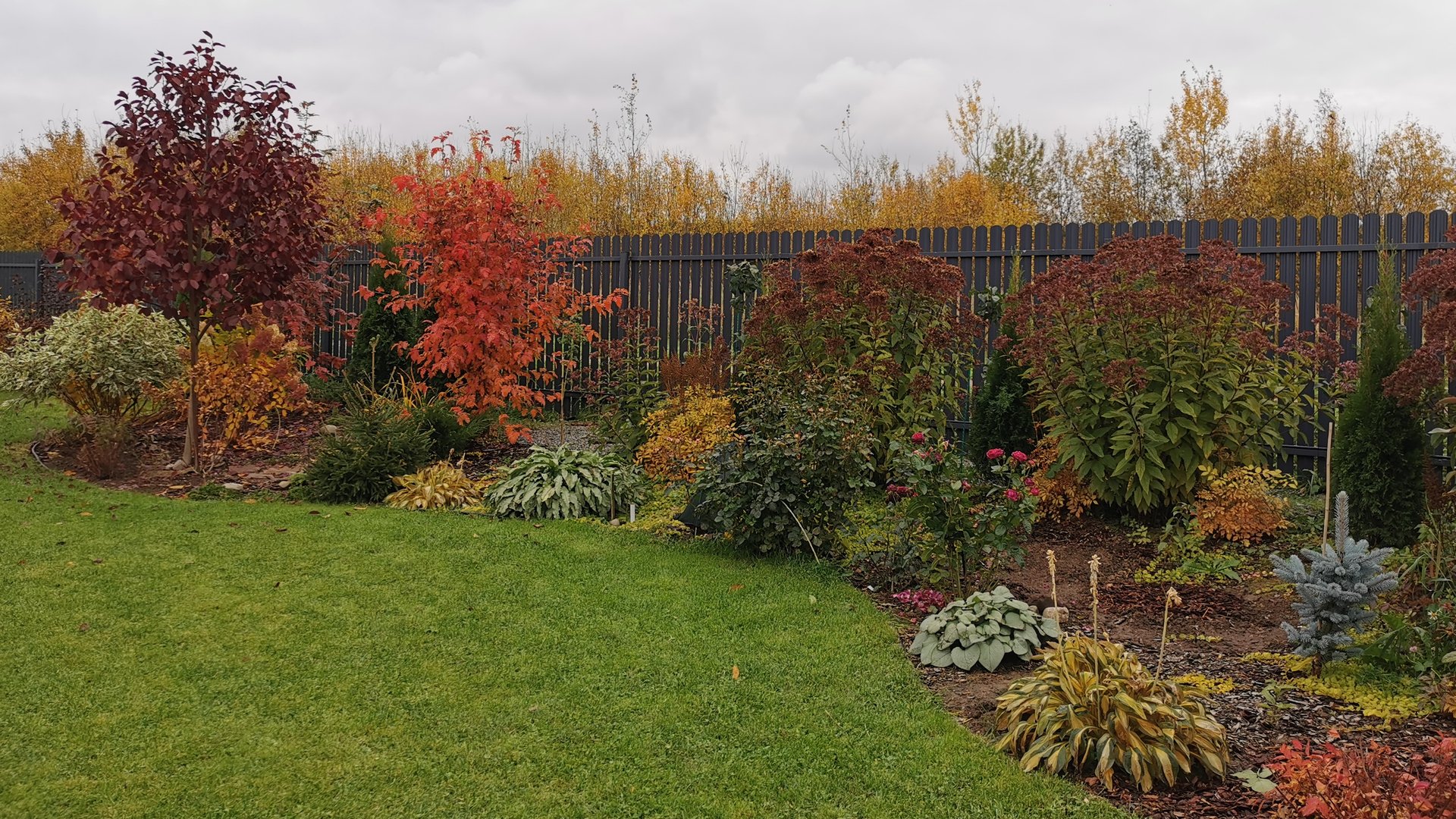 Художник рисует на полотне, я в саду. Кто украшает сад все времена года, особенно осенью? 16.10.2025