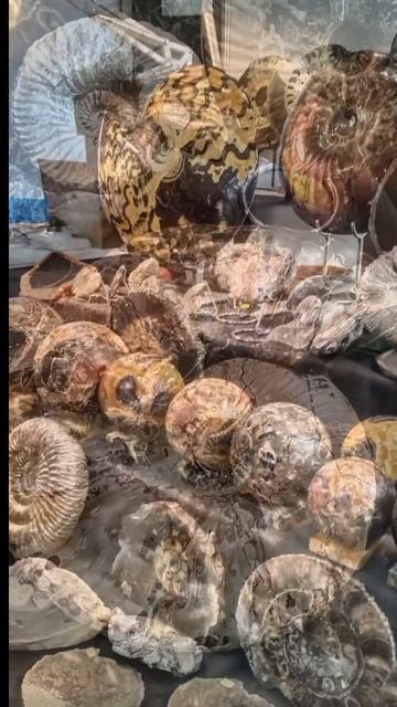 Камни нам расскажут..