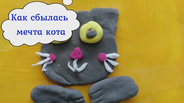 Как сбылась мечта кота!