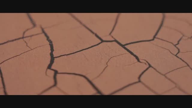 SP CRAQUELÈE - The Crack Effect