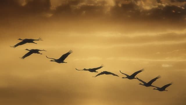 Скоро   осень...   ( На грустной ноте..)