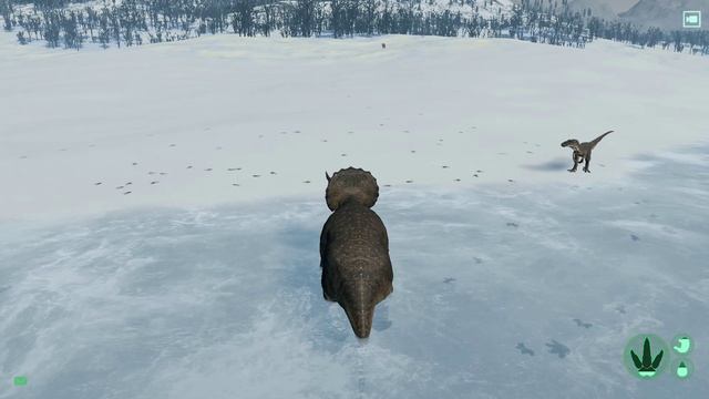 самоуверенные  или безбашенные юты