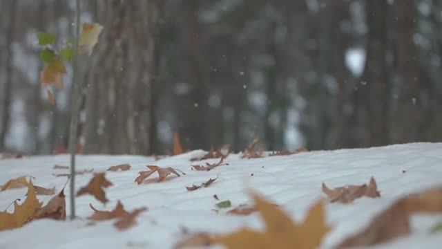 Fading - Beautiful Relaxing Piano Music