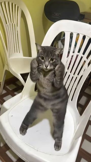 Кто-то: нейросети уничтожат наше человечество!  Тем временем нейросети:  VideoCook — Подписаться