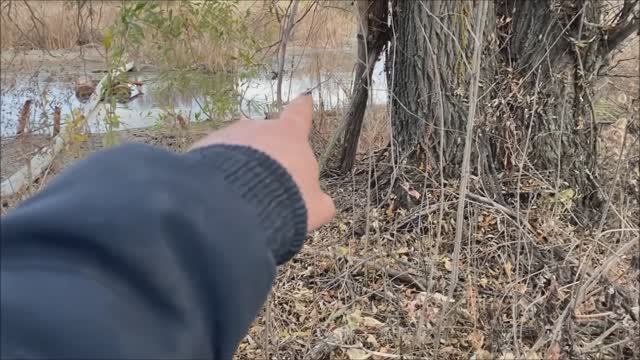 коп металлолома в болоте! испачкались все!