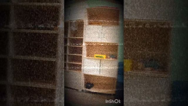 хоррор поиск выхода серия 1 название поиск артефакта 666