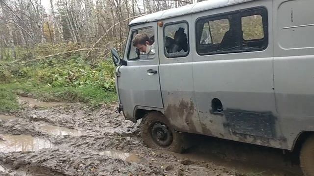 Будем "лебедится"