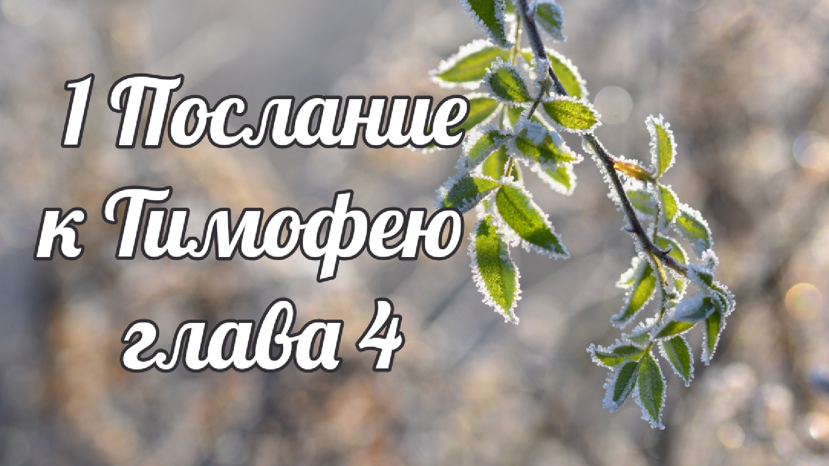 1 Послание к Тимофею глава 4