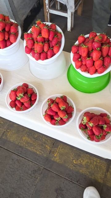 Сезон узбекских лимонов и гранатов, рынок Чорсу в Ташкенте