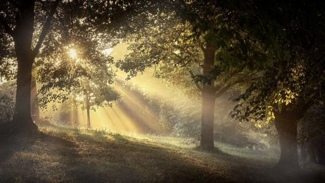 Relaxing Nature Music - Relaxing Music for Sleep & Meditation