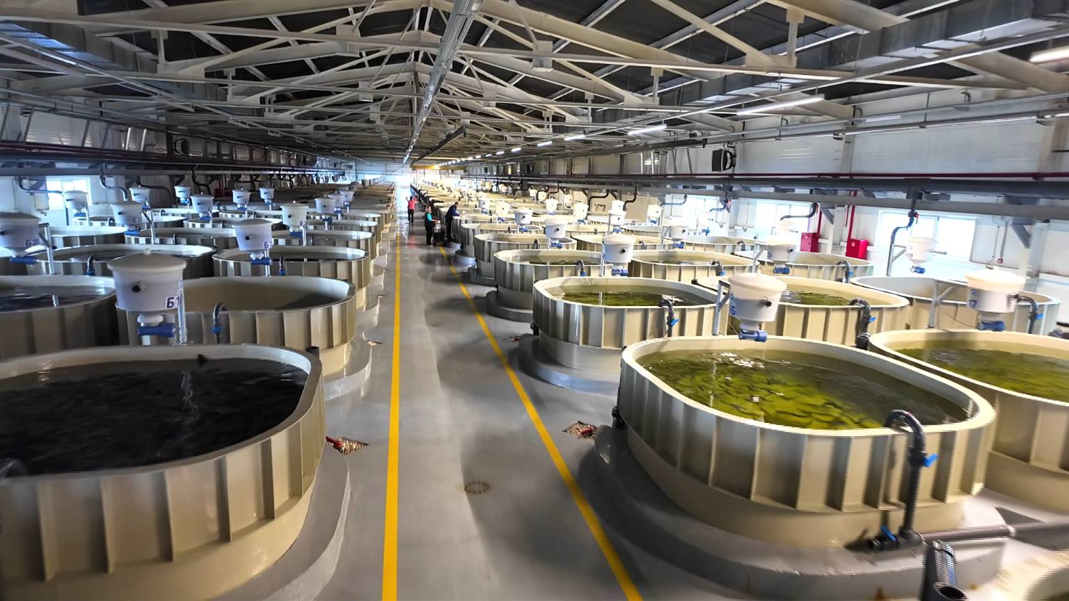 Югорский рыбоводный завод