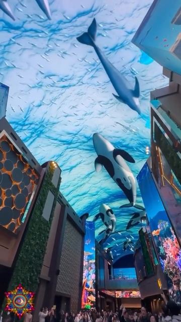 👁️👁️👁️👁️👁️👁️