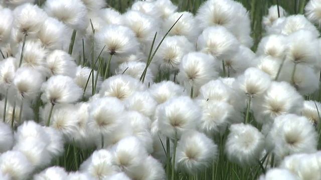 будь счастливой