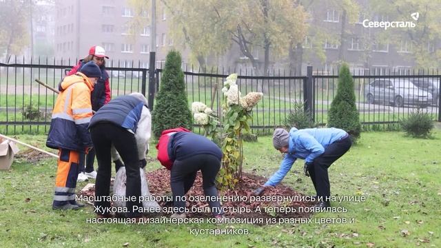 «Северсталь» продолжает озеленять Череповец