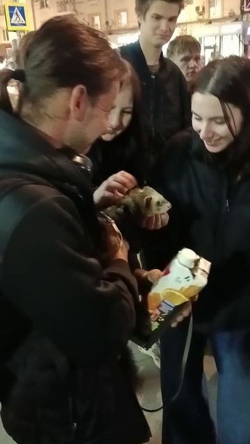 Кто у вас кошечки и собачки. А вот у меня необычный питомец!