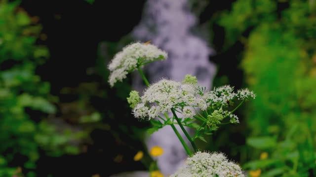 Emotional Piano Ballad - Beautiful Relaxing Piano Music