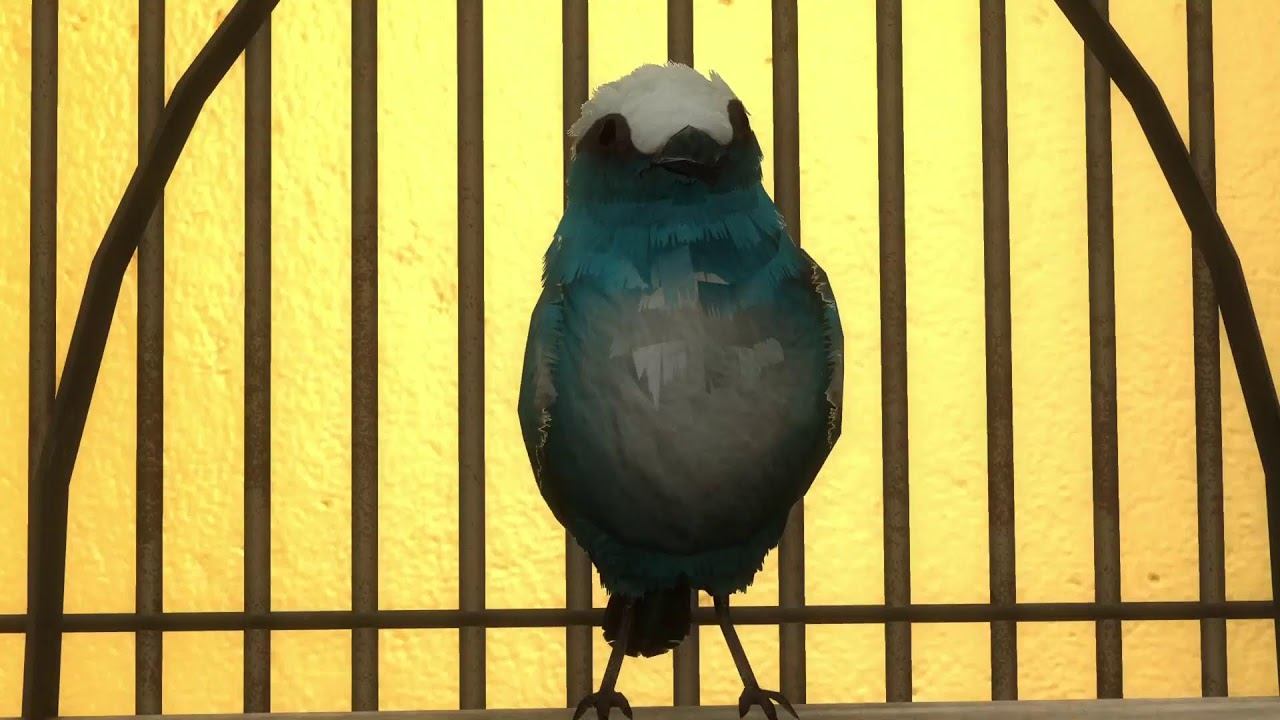 Heavy rain для вечера