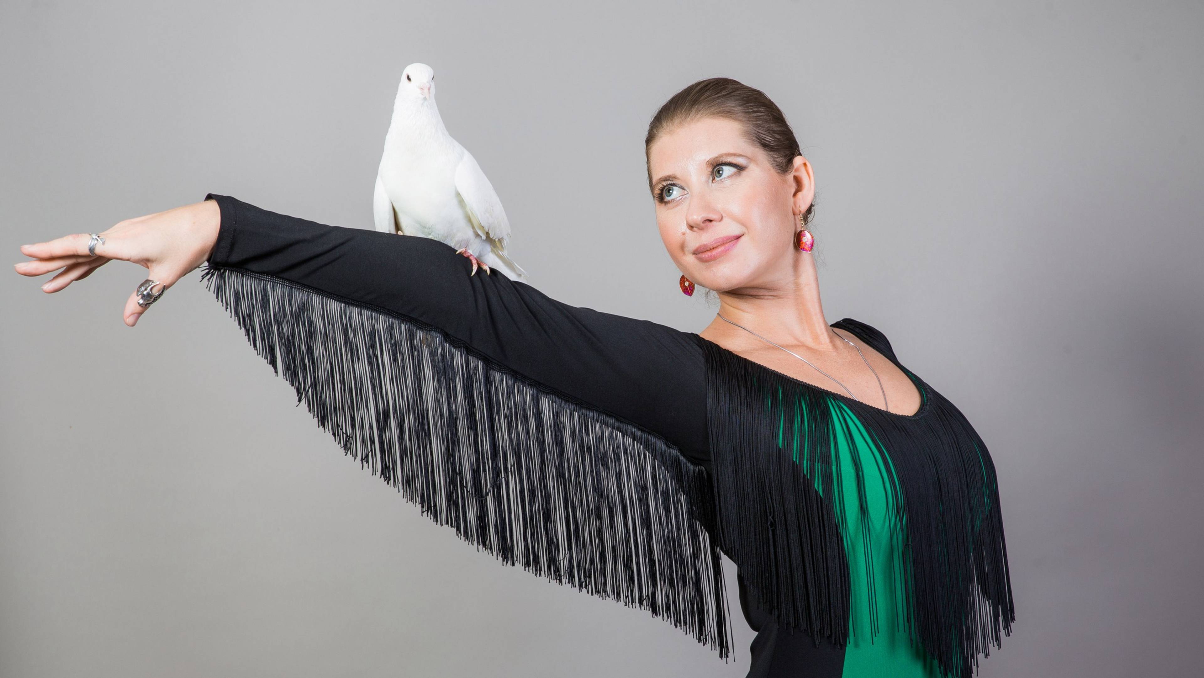 Paloma Roja animaAeterna / Мир тебе воля-весна. Let it be peace and love.