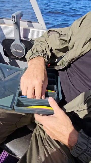 Воблеры на щуку