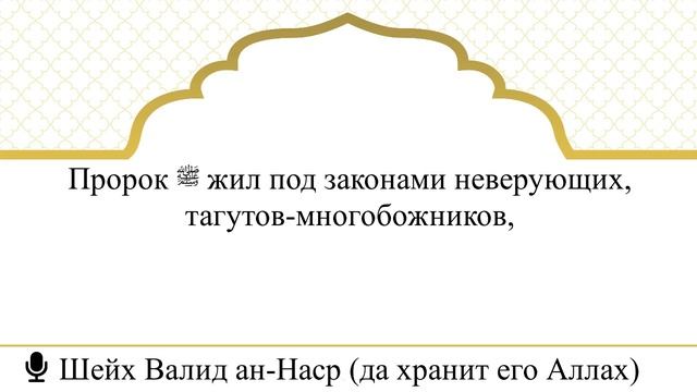 324) Неужели неверие в тагута обязывает нас выходом против правителя? I Шейх Валид ан-Наср