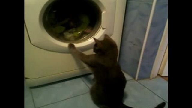 Наш помощник