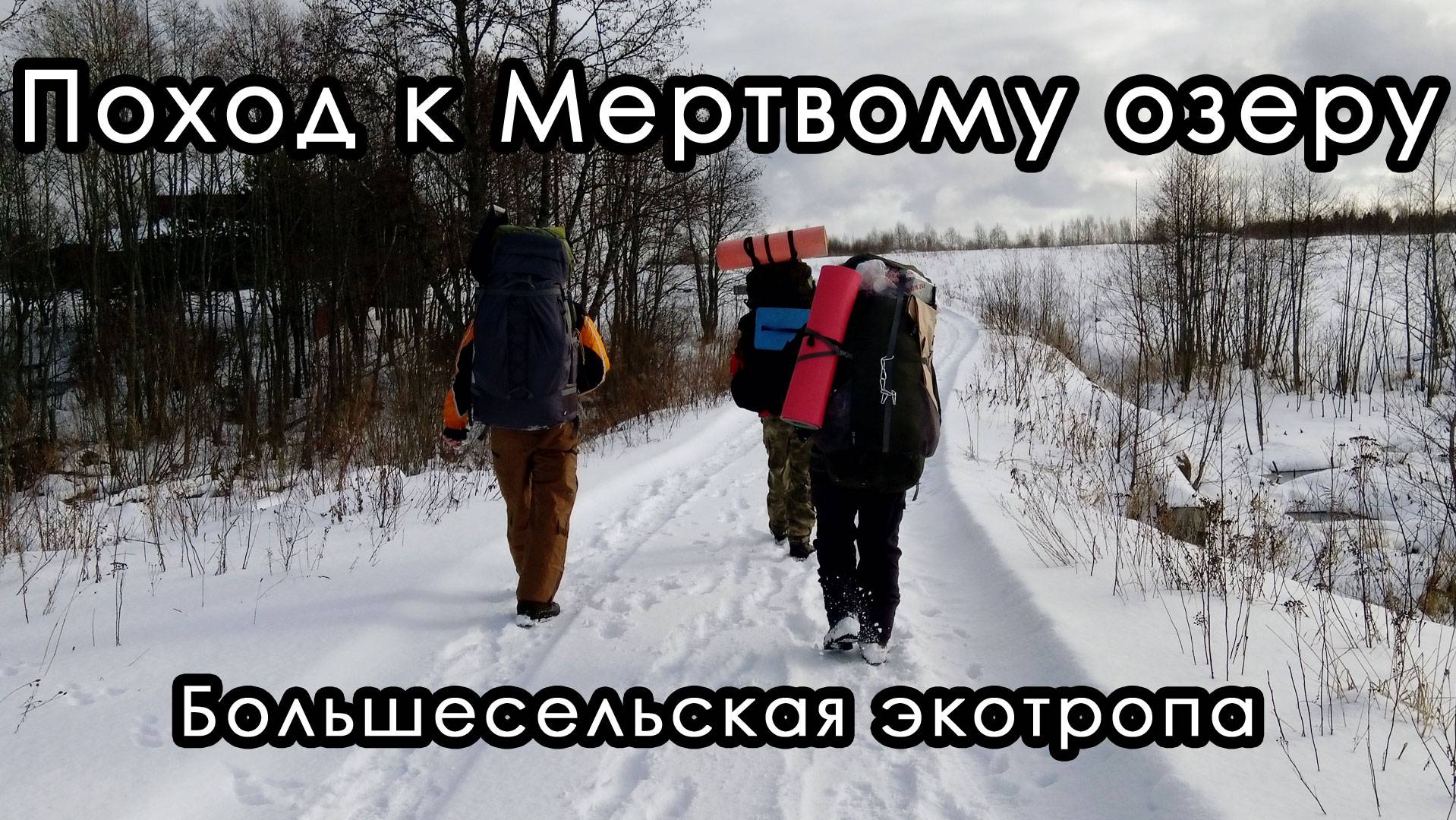 Поход к Мертвому озеру. Большесельская экотропа, Ярославская область.