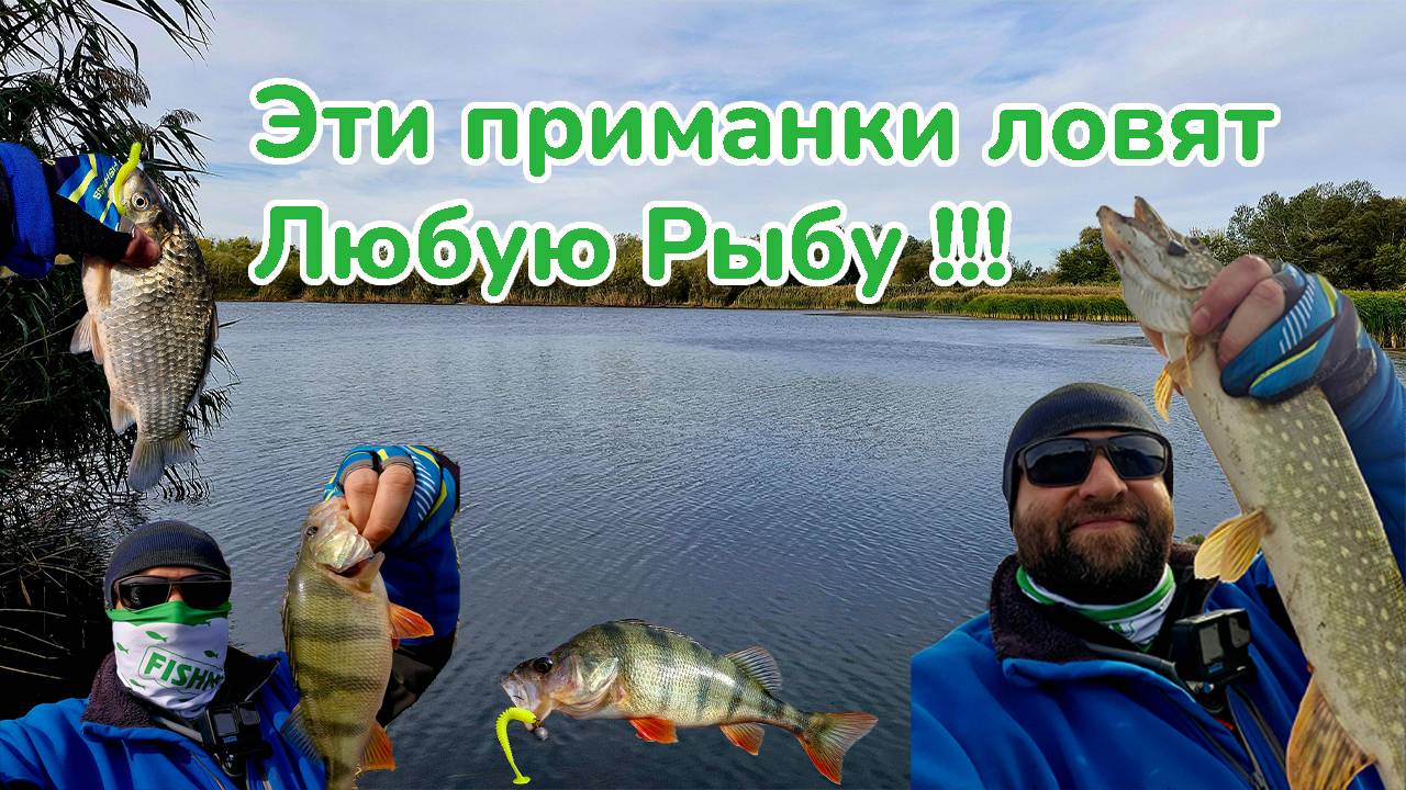 Эти Приманки Ловят Любую Рыбу / Рыбалка на Чудесном Осеннем Озере / Щука на Ультралайт / Fishmir
