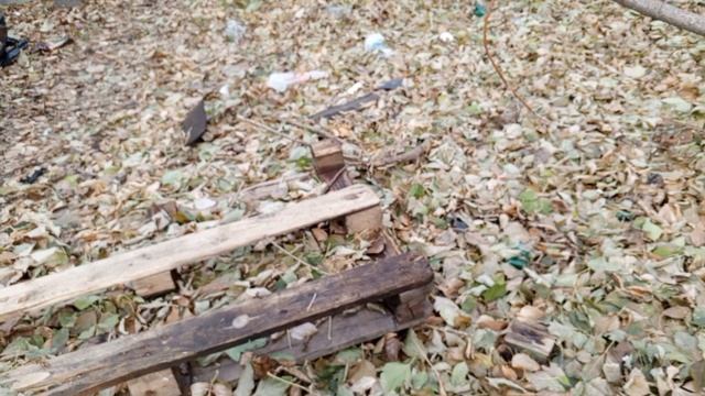 Строим базу! 1 часть 😎