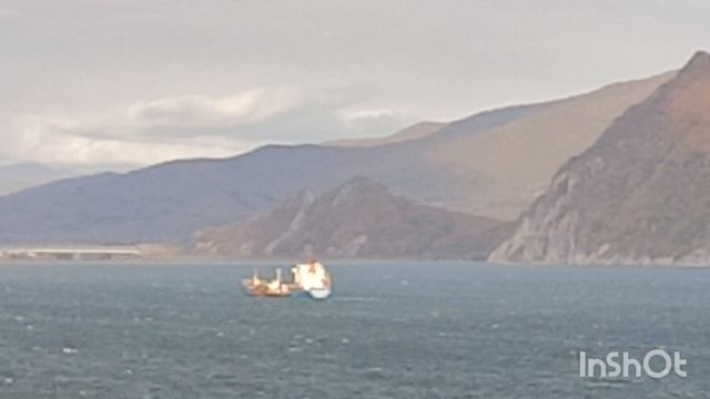 Находка. холодает...