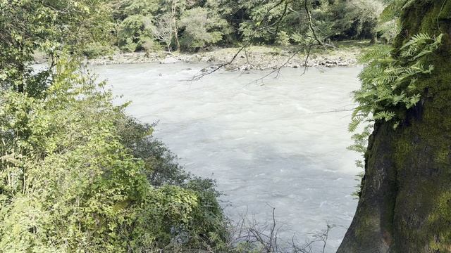 Сочи. Гагра. Пицунда.