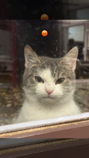 Эти ваши утры 🤬😁