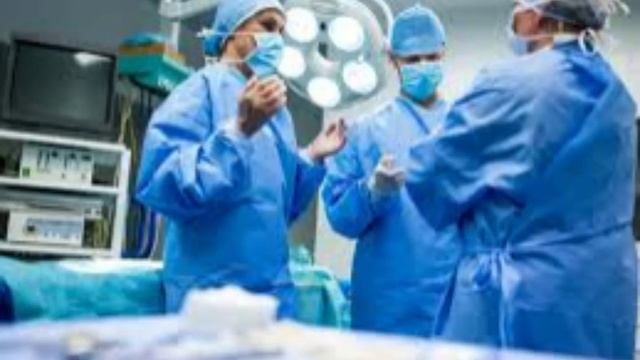 Учёные из Канады и Китая создали универсальную почку