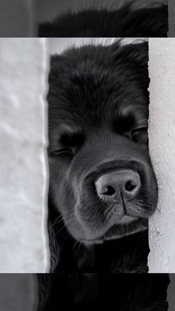 Взгляд,  который проникает в самую душу