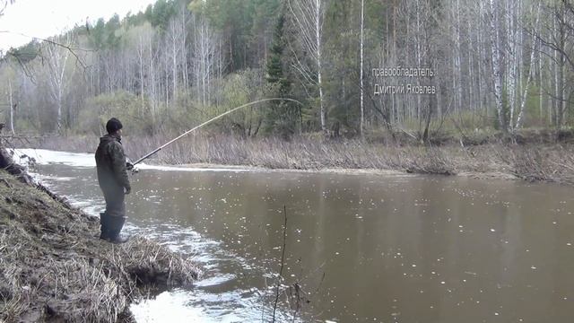 Огромный позитив от борьбы с красавцами хариусами в сказочной тайге.Рыбалка ловля хариуса