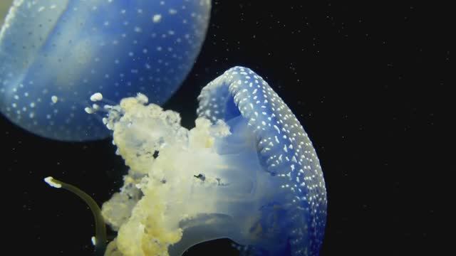 Spatium - Relaxing Music for Sleep & Meditation