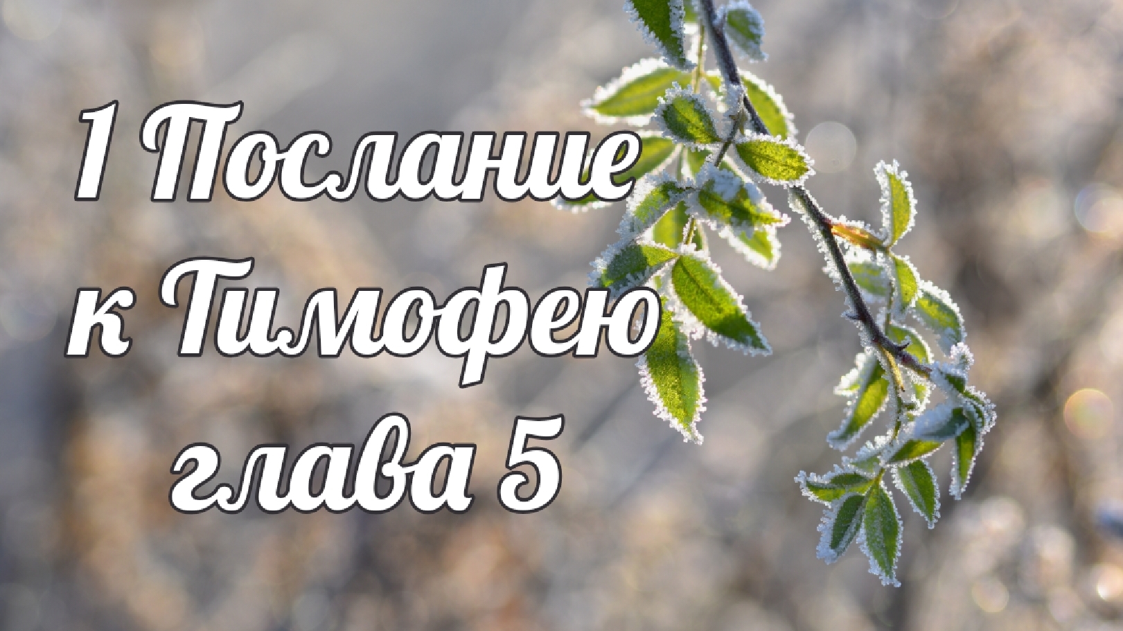 1 Послание к Тимофею глава 5