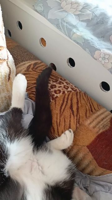 Ура, пятница!