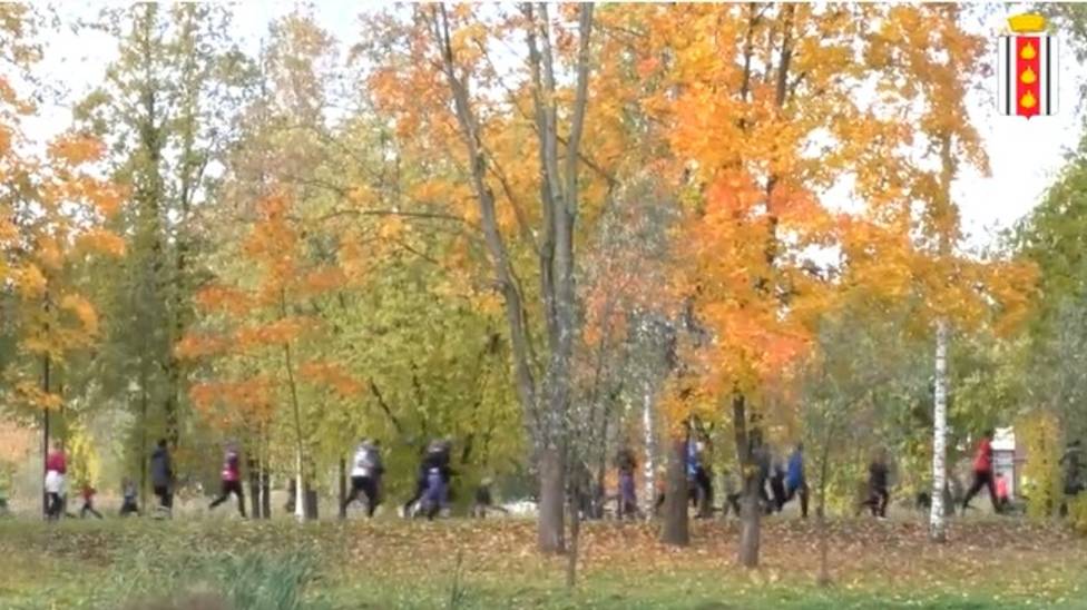 Колпинский кросс. 11 октября 2025 г.