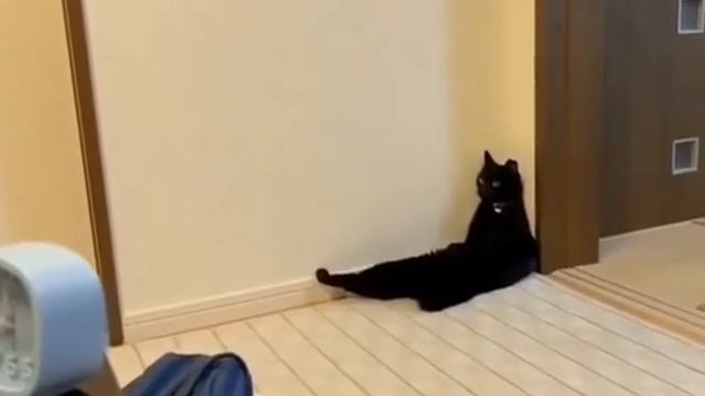 🤣 Кожаный... у меня Депрессия !!!... 🤣