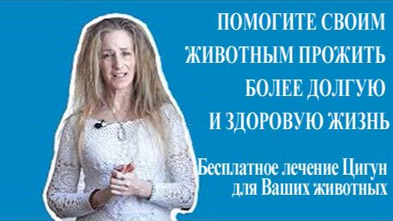Ци04-23 Цигун-терапия для животных. Цигун Весеннего Леса (Чуньи Лин)