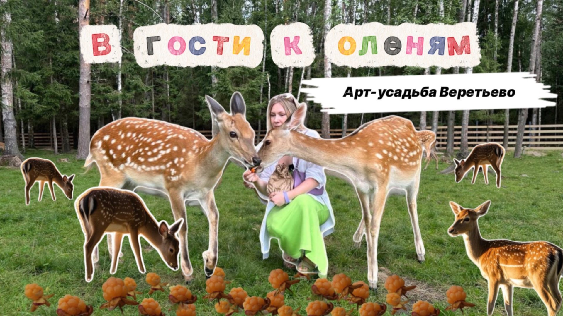 Лучшее место с оленями в Подмосковье | Арт-усадьба Веретьево | Ферма с оленями